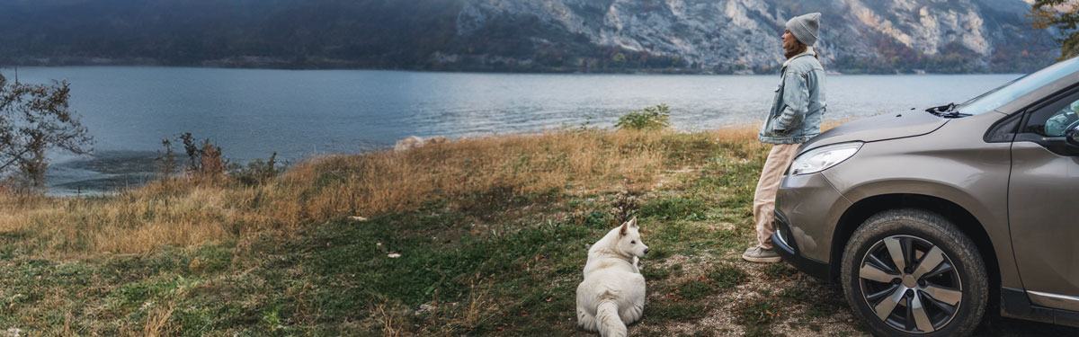 Forsikring for alt du er glad i – Tryg Forsikring